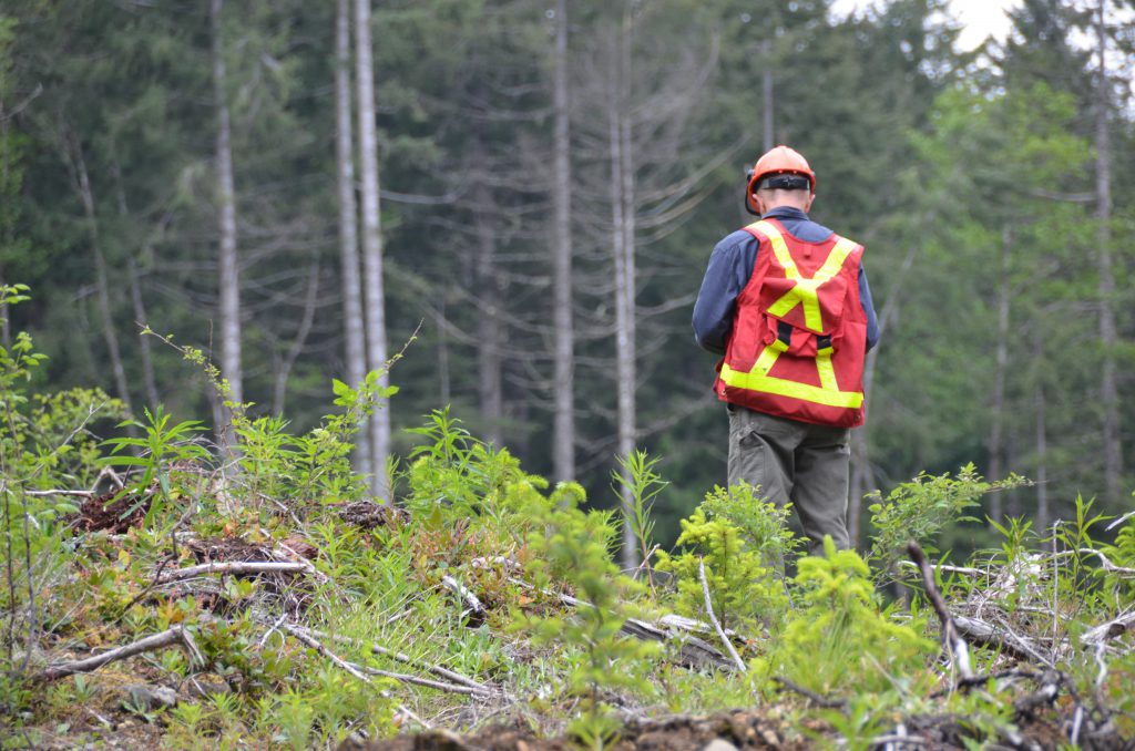 Bulletin 002 – Third Party Certification and the Forest Practices Board ...