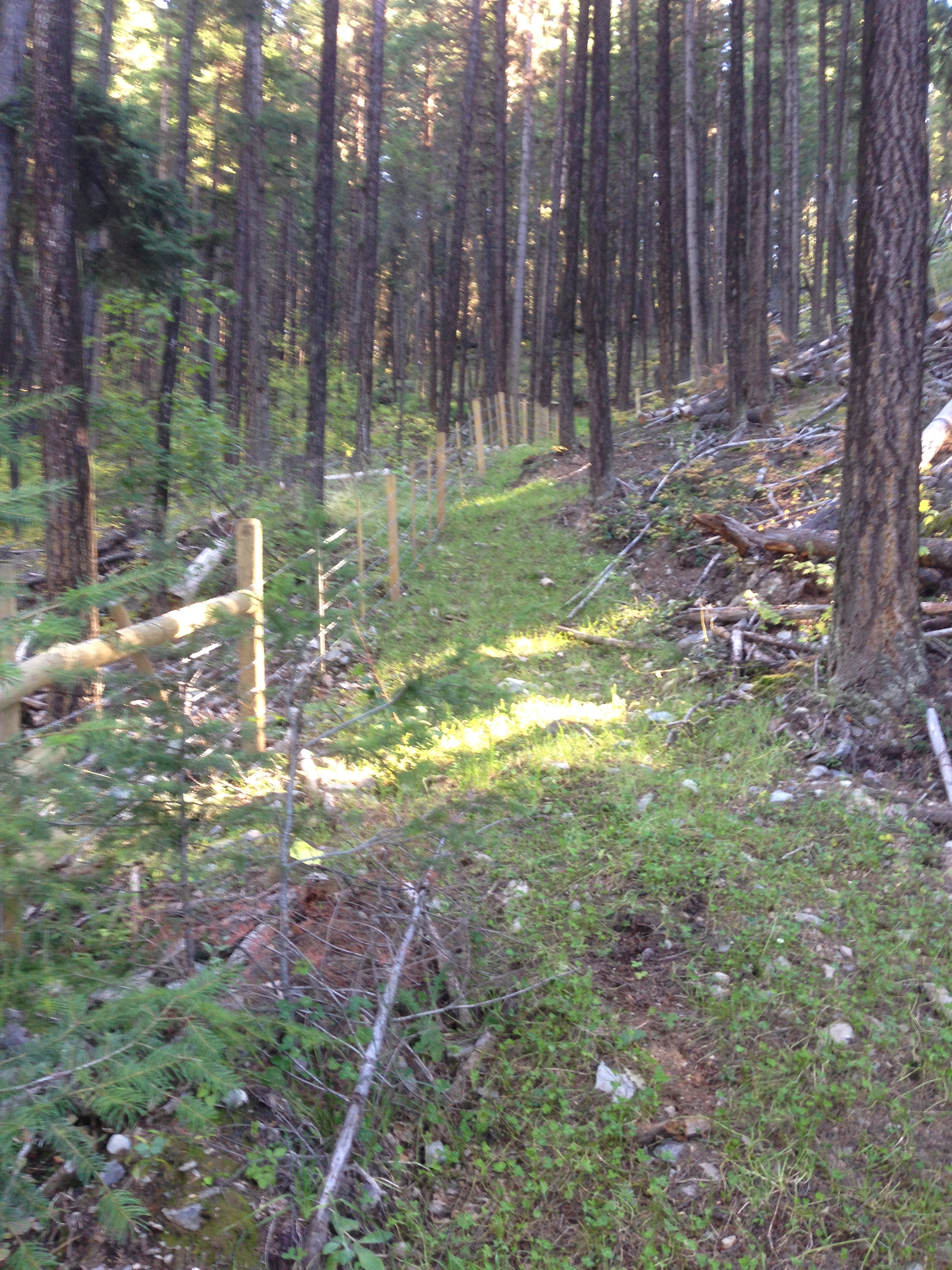 Range Agreements Pass Audit - BC Forestry Practices Board