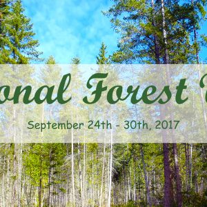 The British Columbia Forest Practices Board Official Site