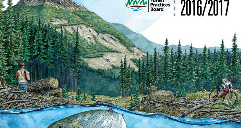 The British Columbia Forest Practices Board Official Site