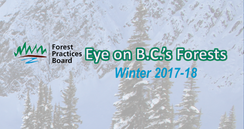 The British Columbia Forest Practices Board Official Site