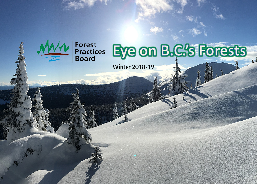 BC Forestry Practices Board Newsletter Issue #20 - Winter 2018/19