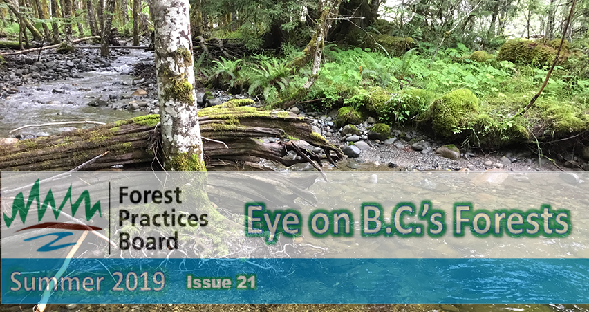 BC Forestry Practices Board Newsletter Issue #21 - Summer 2019
