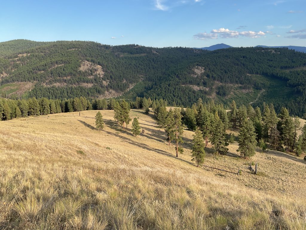 Range Practices and Government Enforcement in the Ingram-Boundary Range ...