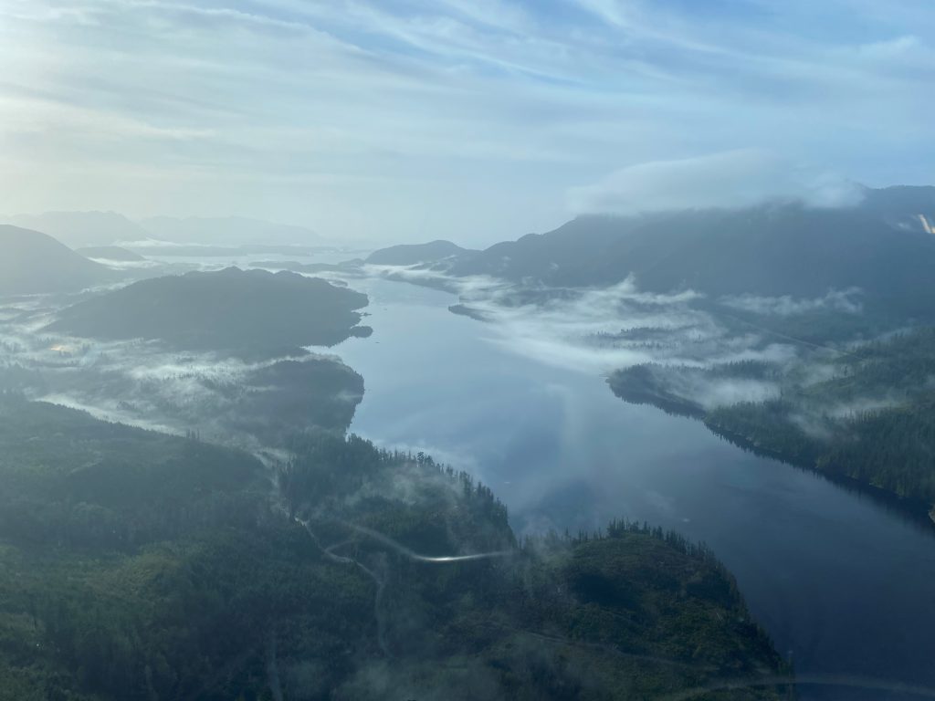 Forest Practices Board to audit Aat'uu Forestry operations near Port ...